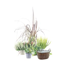 Tchibo - Herbst-Set 4 - wei&szlig;