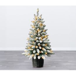 Tchibo - LED-Weihnachtsbaum mit geflochtenem &Uuml;bertopf - dunkelbraun