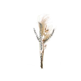 Tchibo - Trockenblumen &raquo;Natural Vibe&laquo; - wei&szlig;