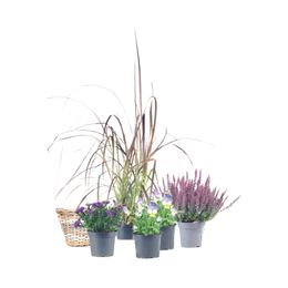 Tchibo - Herbst-Set 5 - wei&szlig;