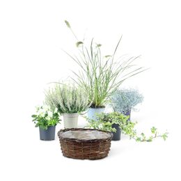Tchibo - Herbst-Set 2 - wei&szlig;