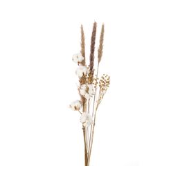 Tchibo - Trockenblumen &raquo;Earth Natural&laquo; - wei&szlig;