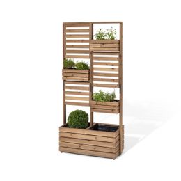 Tchibo - Beidseitig bepflanzbarer Sichtschutz &raquo;Tinus&laquo; - 90x44x190cm - schwarz - Holz / Holz / Stahl