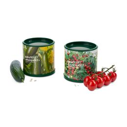 Tchibo - Anzuchtset Minigurke und Buschtomate - mehrfarbig