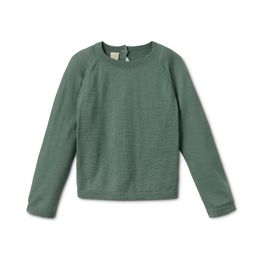 Tchibo - Strickpullover aus 100% RWS-zertifizierter Merinowolle - Kinder - Gr. 110/116 - olivgr&uuml;n