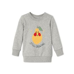 Tchibo - Sweatpullover - Baby - Gr. 50/56 - grau