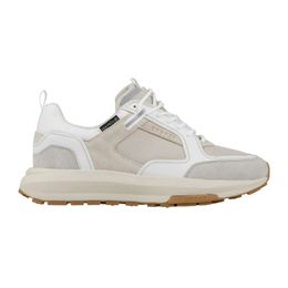 Cruyff - "Rayado" Sneaker f&uuml;r Herren (Cremefarbe)