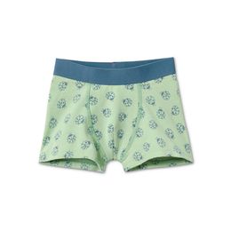 Tchibo - 3 Slipboxer - Jungen - Gr. 134/140 - creme