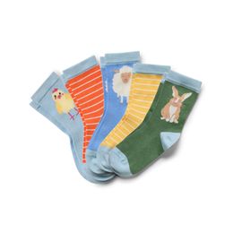 Tchibo - 5 Paar Kinder-Socken - Baby - Gr. 23-26 - hellblau