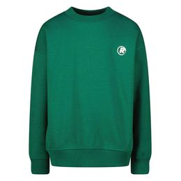Raizzed Sweatshirt "Nardy" in Gr&uuml;n - 45% | Gr&ouml;&szlig;e 128 | Kinder-sweatshirts-jacken