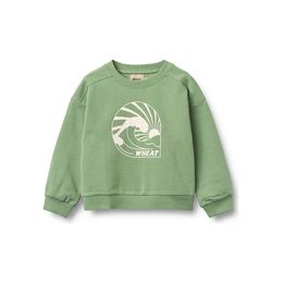 Wheat Sweatshirt "Breeze" in Gr&uuml;n - 47% | Gr&ouml;&szlig;e 110 | Kinder-sweatshirts-jacken
