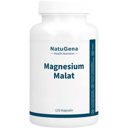 MAGNESIUM-MALAT Kapseln 120 St