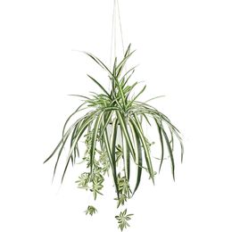 Kunstpflanze OTTO HOME "Gr&uuml;nlilie", gr&uuml;n (gr&uuml;n, wei&szlig;), B:34cm H:75cm L:34cm, Obermaterial: 85% Polyester, 10% Kunststoff, 5% Metall, Kunstpflanzen, Kunstpflanze, Mit H&auml;ngeampe, k&uuml;nstliche Wasserlilie