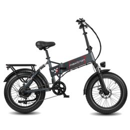 E-Bike MAXTRON "Maxtron Polaris 20-Zoll Elektro-Fatbike" Gr. 42, grau, schwarz, Elektrofahrr&auml;der, 33cm, mit 60 Nm Power &ndash; perfekt f&uuml;r City-Pendler