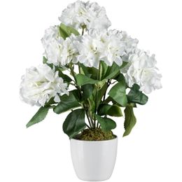 Kunstblume Creativ green "Hortensienbusch", rosa (wei&szlig;), H:52cm &Oslash;:30cm, Polyester, Kunstpflanzen