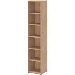 Aktenregal FMD "Calvi", hickory, B:47cm H:221,5cm T:40cm, Holzwerkstoff, Regale, Aktenregal, in 2 H&ouml;hen, viel Staur., verstellb. B&ouml;den, erweiterbar, Breite: 47 cm