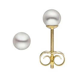 Paar Ohrstecker Jobo "Ohrringe mit Perlen 4,5 mm", gelb (gelbgold 585), Ohrringe, Damen, 4,5mm, Gelbgold 585 Perlen, Gelbgold 585, Perlen, 585 Gold