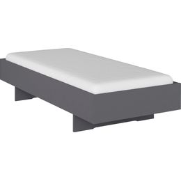 Futonbett Rauch "Phoenix", grau (graumetallic), B:95cm H:41cm L:206cm, Betten, Futonbett, ohne Kopfteil
