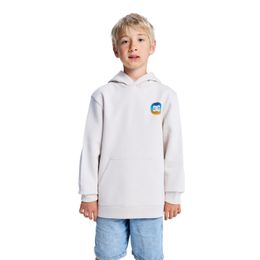 Hoodie DC Shoes "Shape Or Destroy", Jungen, Gr. 10(140-148cm), oatmeal, Obermaterial: 55% Baumwolle, 25% Baumwolle, 20% Polyester., Sweatshirts Hoodie