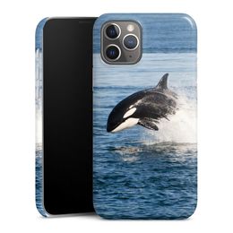 DeinDesign iPhone 12 Pro Handy Premium Case Smartphone Handyh&uuml;lle Schutzh&uuml;lle gl&auml;nzend Orca Ocean Wale Premium Case