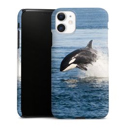 DeinDesign iPhone 11 Handy Premium Case Smartphone Handyh&uuml;lle Schutzh&uuml;lle matt Orca Ocean Wale Premium Case