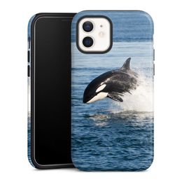 DeinDesign iPhone 12 mini Handy Panzer Handyh&uuml;lle robuste Outdoor H&uuml;lle Schutzh&uuml;lle gl&auml;nzend Orca Ocean Wale Tough Case
