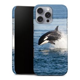 DeinDesign iPhone 16 Pro Max Handy Premium Case Smartphone Handyh&uuml;lle Schutzh&uuml;lle gl&auml;nzend Orca Ocean Wale Premium Case