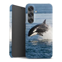 DeinDesign Galaxy S25 Handy Premium Case Smartphone Handyh&uuml;lle Schutzh&uuml;lle matt Orca Ocean Wale Premium Case