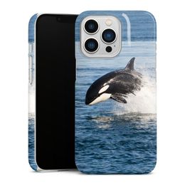 DeinDesign iPhone 13 Pro Handy Premium Case Smartphone Handyh&uuml;lle Schutzh&uuml;lle gl&auml;nzend Orca Ocean Wale Premium Case