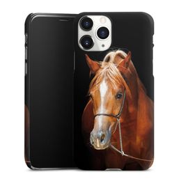 DeinDesign iPhone 11 Pro Handy Premium Case Smartphone Handyh&uuml;lle Schutzh&uuml;lle matt Horse Hobby Mare Premium Case