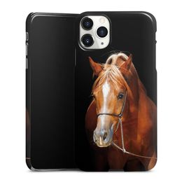 DeinDesign iPhone 11 Pro Max Handy Premium Case Smartphone Handyh&uuml;lle Schutzh&uuml;lle gl&auml;nzend Horse Hobby Mare Premium Case