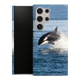 DeinDesign Galaxy S24 Ultra Handy Premium Case Smartphone Handyh&uuml;lle Schutzh&uuml;lle gl&auml;nzend Orca Ocean Wale Premium Case