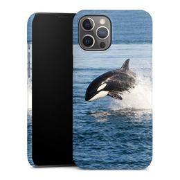DeinDesign iPhone 12 Pro Max Handy Premium Case Smartphone Handyh&uuml;lle Schutzh&uuml;lle matt Orca Ocean Wale Premium Case