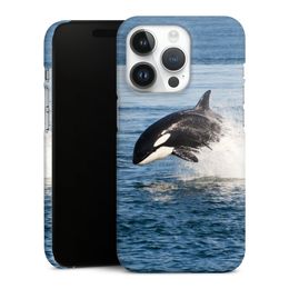 DeinDesign iPhone 14 Pro Handy Premium Case Smartphone Handyh&uuml;lle Schutzh&uuml;lle matt Orca Ocean Wale Premium Case