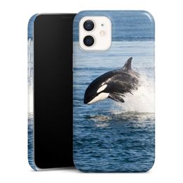 DeinDesign iPhone 12 Handy Premium Case Smartphone Handyh&uuml;lle Schutzh&uuml;lle gl&auml;nzend Orca Ocean Wale Premium Case