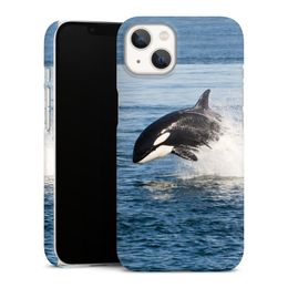 DeinDesign iPhone 13 Handy Premium Case Smartphone Handyh&uuml;lle Schutzh&uuml;lle matt Orca Ocean Wale Premium Case