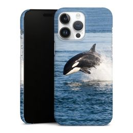 DeinDesign iPhone 14 Pro Max Handy Premium Case Smartphone Handyh&uuml;lle Schutzh&uuml;lle matt Orca Ocean Wale Premium Case