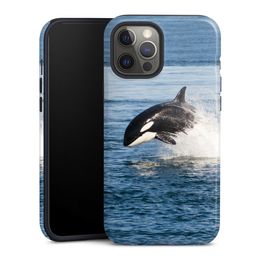 DeinDesign iPhone 12 Pro Max Handy Panzer Handyh&uuml;lle robuste Outdoor H&uuml;lle Schutzh&uuml;lle gl&auml;nzend Orca Ocean Wale Tough Case