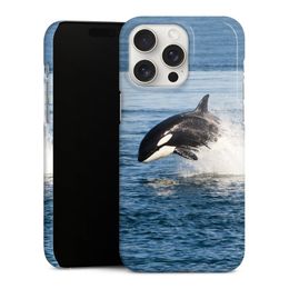DeinDesign iPhone 15 Pro Max Handy Premium Case Smartphone Handyh&uuml;lle Schutzh&uuml;lle gl&auml;nzend Orca Ocean Wale Premium Case