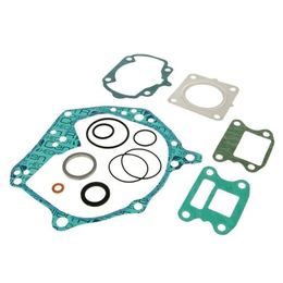 Motor Dichtungssatz f&uuml;r Honda SGX 50, SH 50