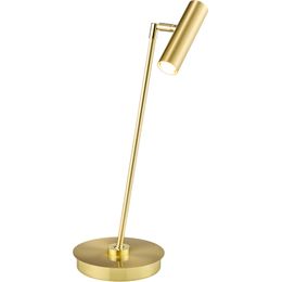 LED Tischleuchte "TOM", messingfarben matt, 1, &Oslash; 16cm H: 50cm, 1 Stk., HELL H&Ouml;LLISCH GUTES LICHT, Leuchten, Tastdimmer, LED Tischleuchte