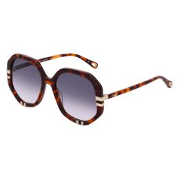 Chlo&eacute; Chlo&eacute; CH0105S | Unisex-Sonnenbrille | Fassung: Vollrand, Geometrisch, Acetat, Havanna Gl&auml;nzend | Glasfarbe: Grau Verlaufend