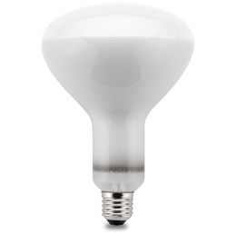 Flos LED-Leuchtmittel zu Pendelleuchte Parentesi