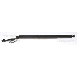 TRISCAN Gasfeder, Koffer-/Laderaum 871011307 f&uuml;r BMW