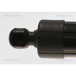 TRISCAN Gasfeder, Koffer-/Laderaum 871016302 f&uuml;r Ford