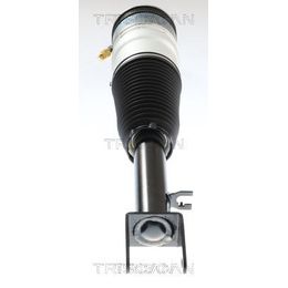 TRISCAN Luftfederbein 872081105 f&uuml;r Tesla