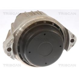 TRISCAN Lagerung, Motor 850511105 f&uuml;r BMW
