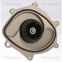 TRISCAN Wasserpumpe 860020006 f&uuml;r Porsche