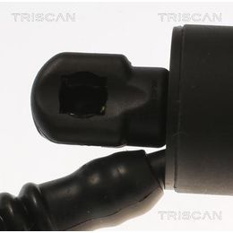 TRISCAN Gasfeder, Koffer-/Laderaum 871011308 f&uuml;r BMW