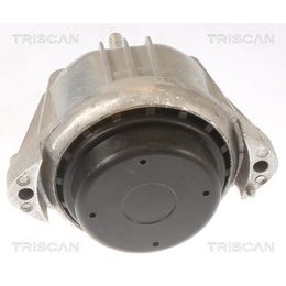 TRISCAN Lagerung, Motor 850511106 f&uuml;r BMW